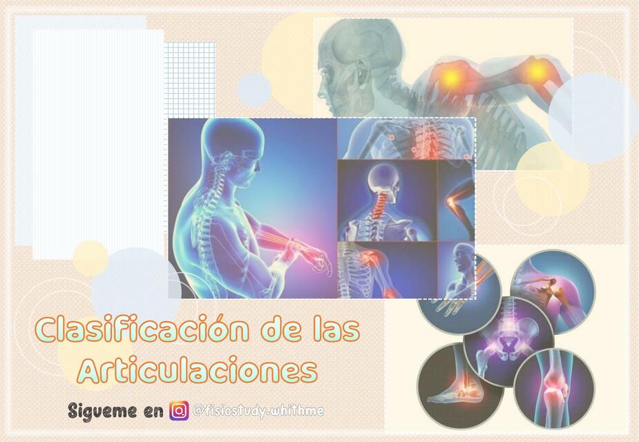 Clasificación de las Articulaciones | FisioStudy | uDocz