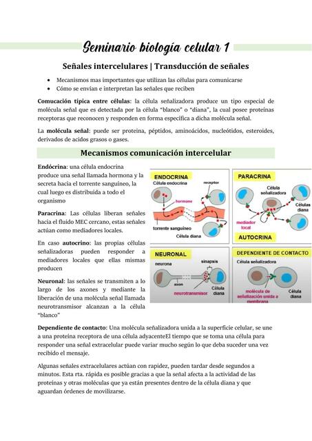 Seminario Biología Celular I parte 2 - Catedra 2 - Medicina UBA | Carolina | uDocz