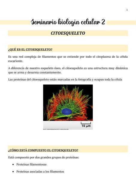 Seminario Biología Celular 2 - Catedra 2 - Medicina UBA | Carolina | uDocz