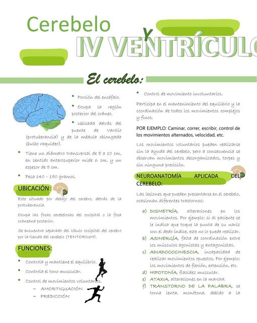 Cerebelo y IV Ventrículo | Yessica Pilar | uDocz