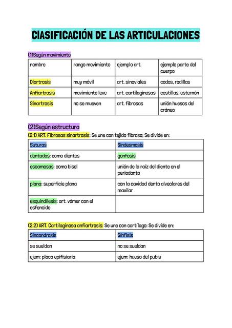 Clasificación de las Articulaciones | Constanza Leiva | uDocz