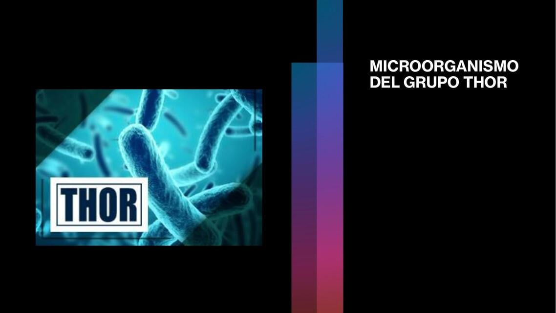 Bacterias del Grupo Haeck | Diego Contreras | uDocz