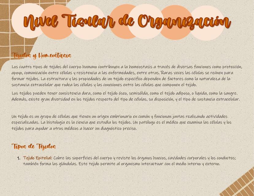 Nivel Tisular de Organización | Sara Nieto | uDocz