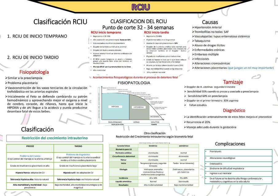 Resúmenes de RCIU | Descarga apuntes de RCIU