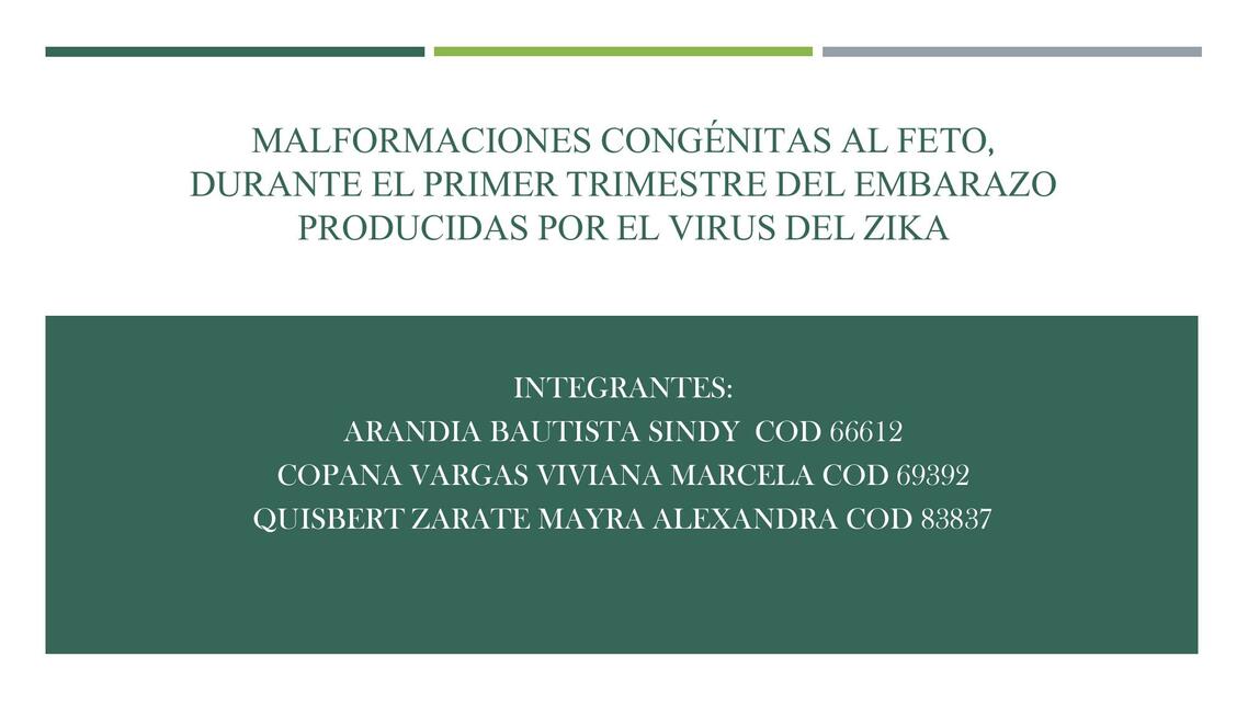 Malformaciones Congénitas al Feto Durante el Primer Trimestre del ...