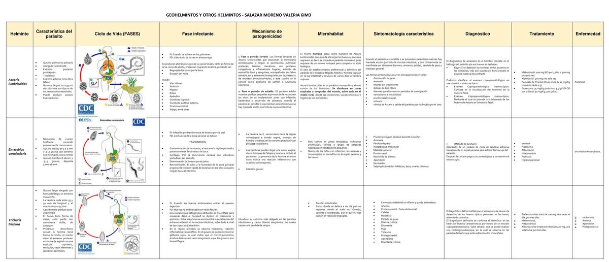 Geohelmintos y otros Helmintos | Aron Villa | uDocz