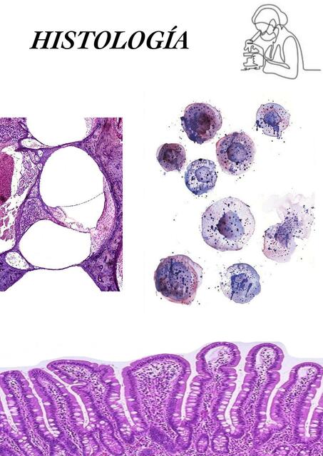 V #01 Microscopia | Generalidades Microscopio Óptico | Carolina | uDocz