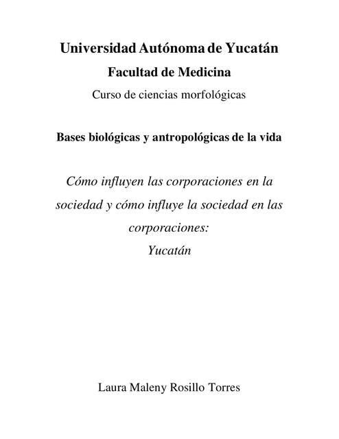 Cómo influyen las corporaciones en la sociedad y cómo influye la ...
