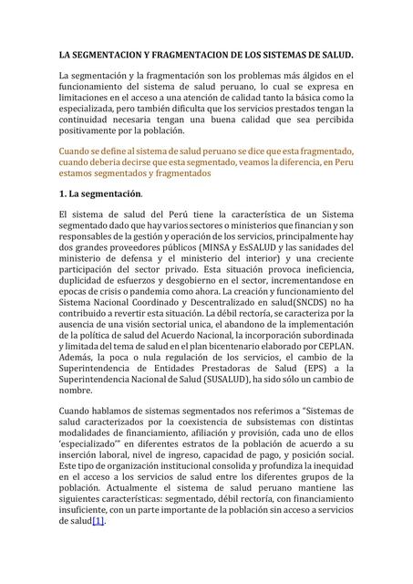La Segmentación y Fragmentación de los Sistemas de Salud | Mishelle Chavez | uDocz