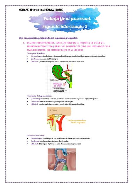 Resúmenes de Triángulo de Calot | Descarga apuntes de Triángulo de Calot