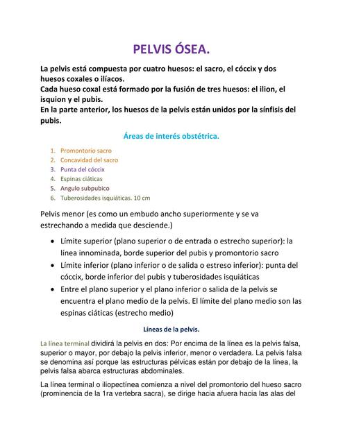 Pelvis ósea María Fernanda Ferreira Udocz