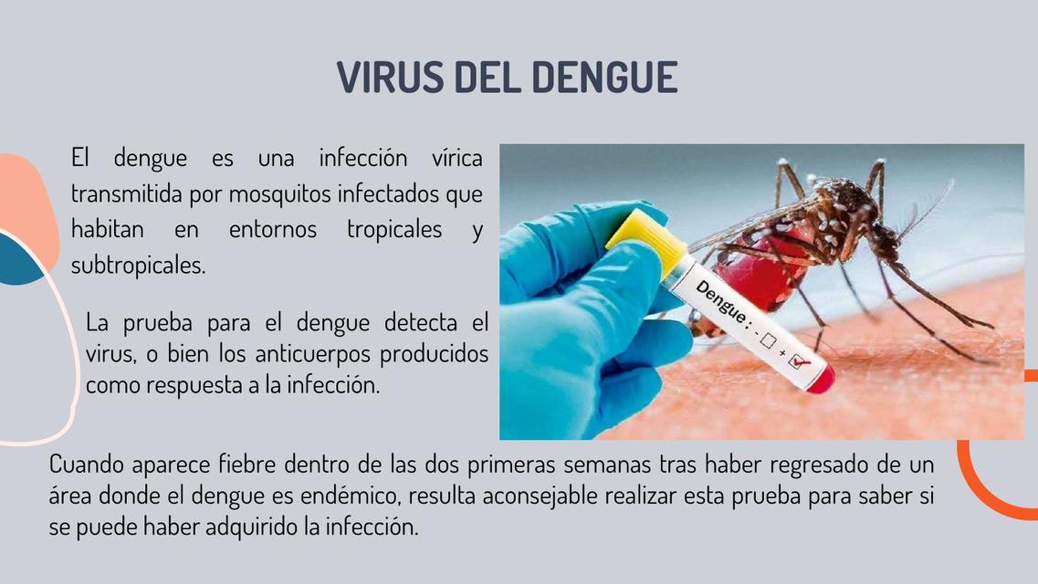 Virus del dengue | Doctor_teco | uDocz