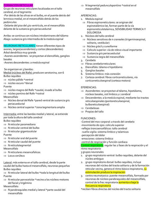 Neuroanatomía Básica | Marilu Chávez | uDocz