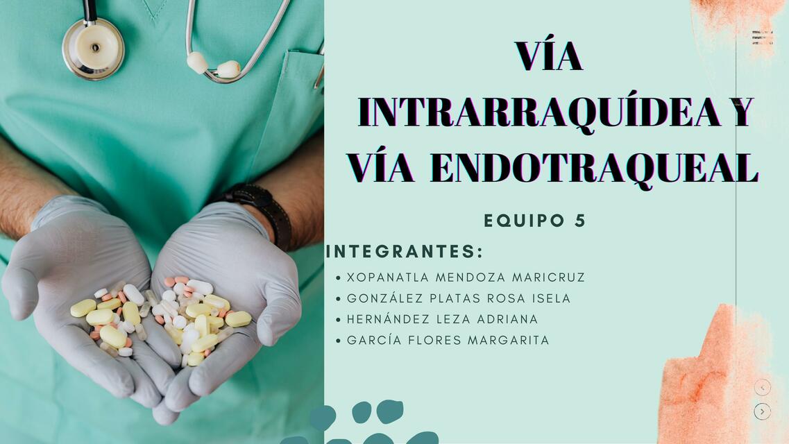 Resúmenes de Vía endotraqueal | Descarga apuntes de Vía endotraqueal