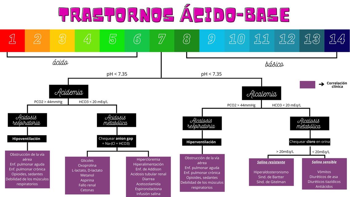 Trastornos Ácido Base | Maripaz | uDocz