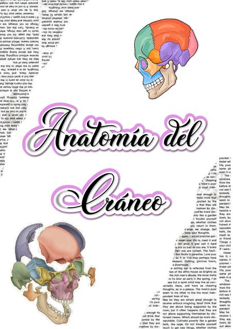 Nervios y Agujeros Craneales Anatomía Humana | uDocz