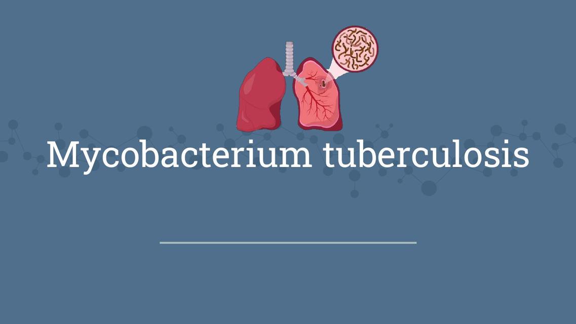 Mycobacterium tuberculosis | Wendy Morales | uDocz