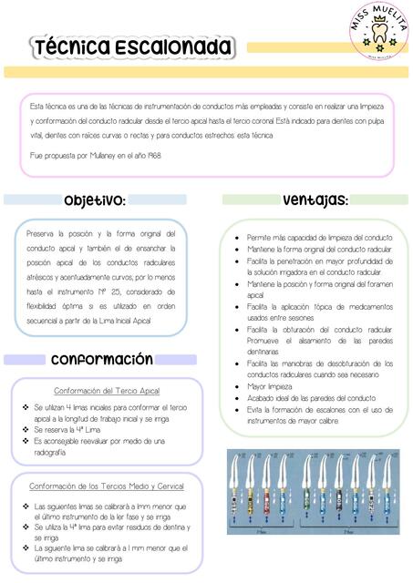 Técnica escalonada | Miss Muelita | uDocz