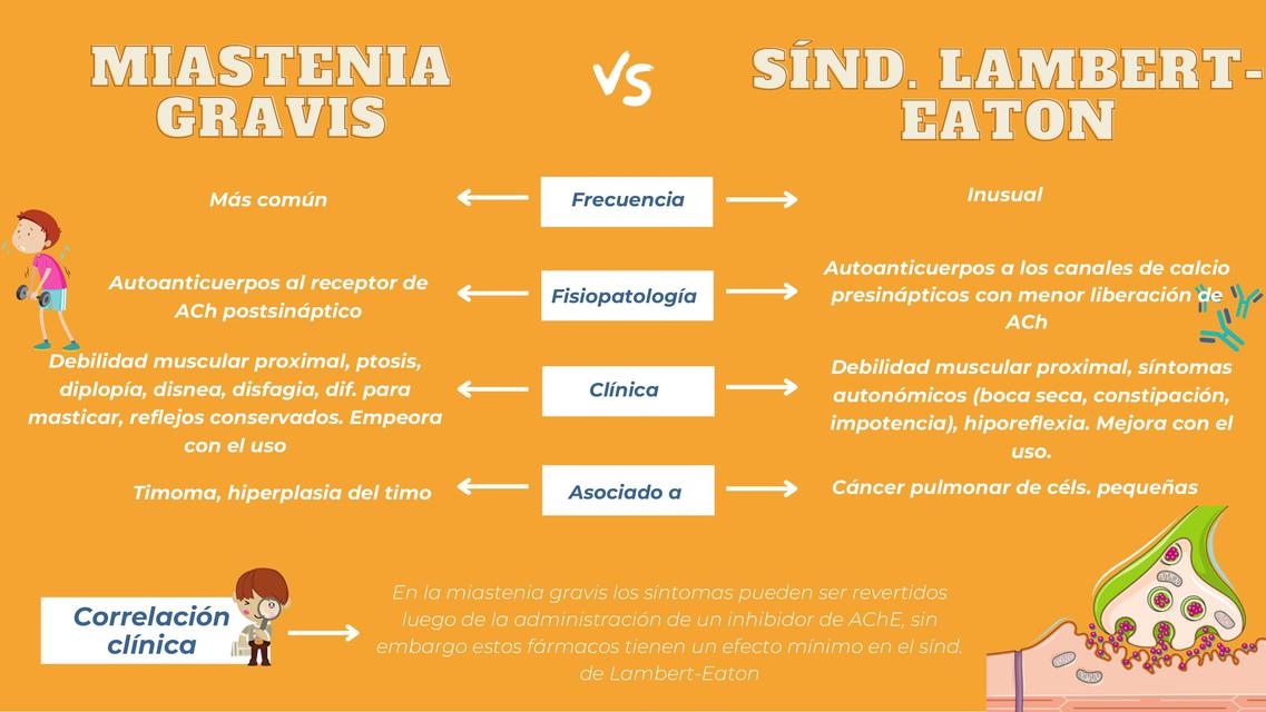 Miastenia Gravis vs Síndrome de Lambert Eaton | Maripaz | uDocz