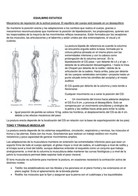 KINESITERAPIA POSTURA | Sofia Villega | uDocz