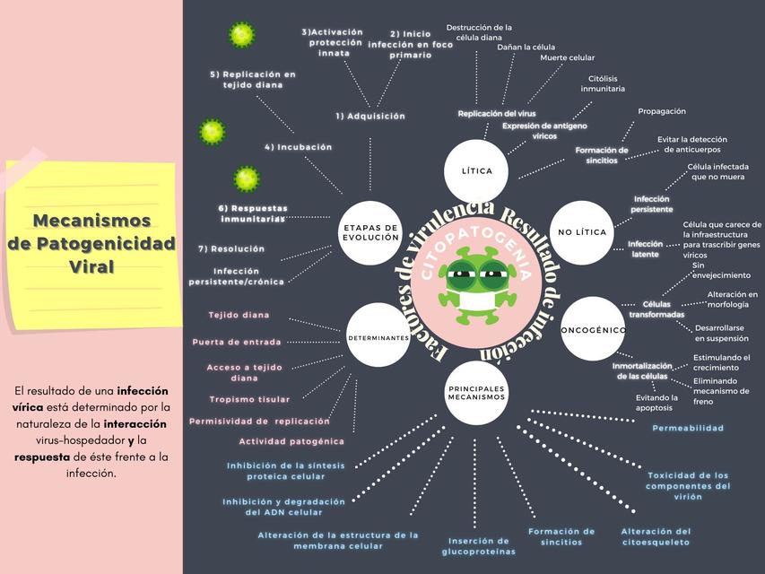 Mecanismos de Patogenicidad Viral | BioQuiMed | uDocz