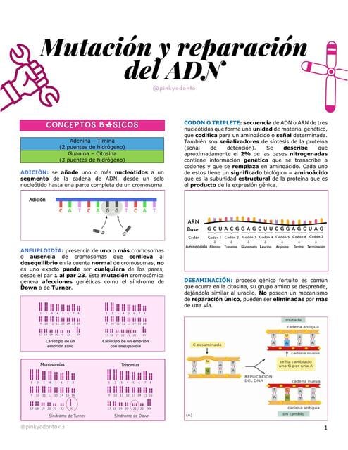 Mutación y reparación del ADN | Pinkyodonto