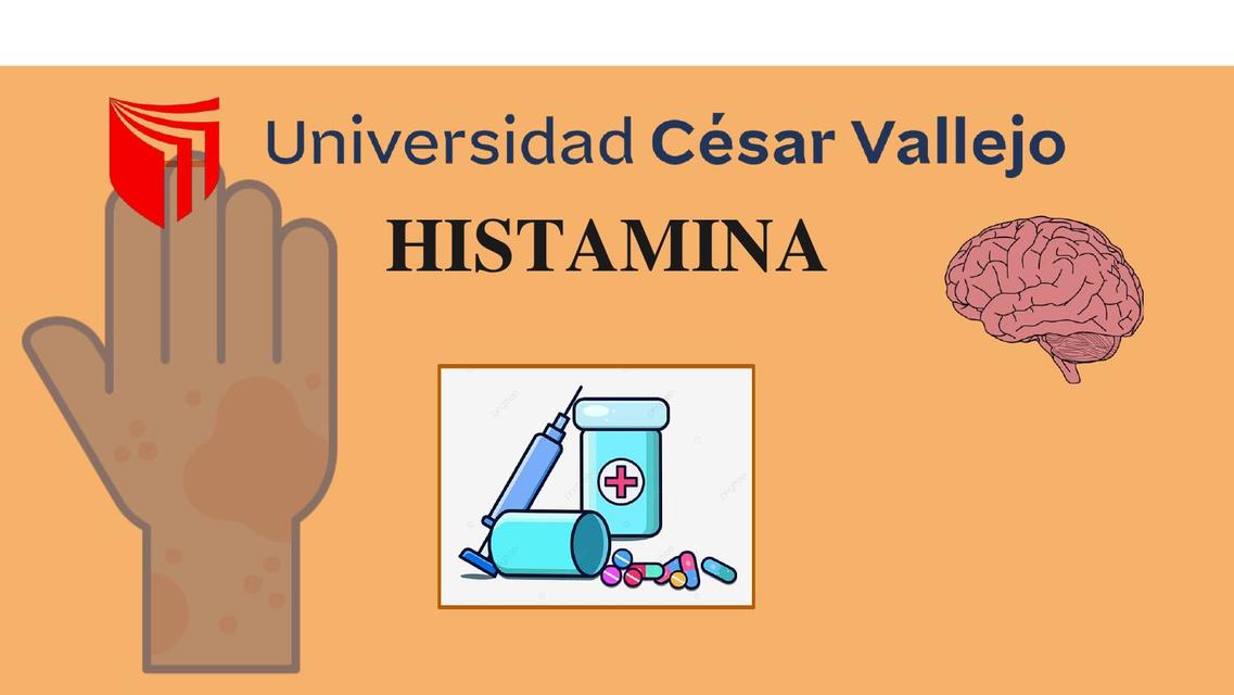 Histamina | uDocz