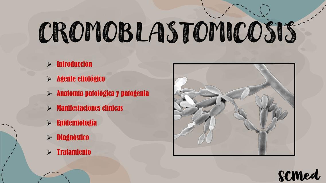 Cromo blastomicosis | uDocz