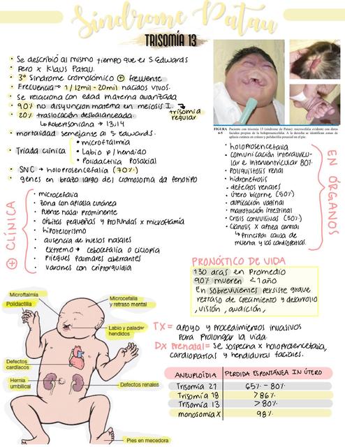Síndrome Patau | StudyLand | uDocz