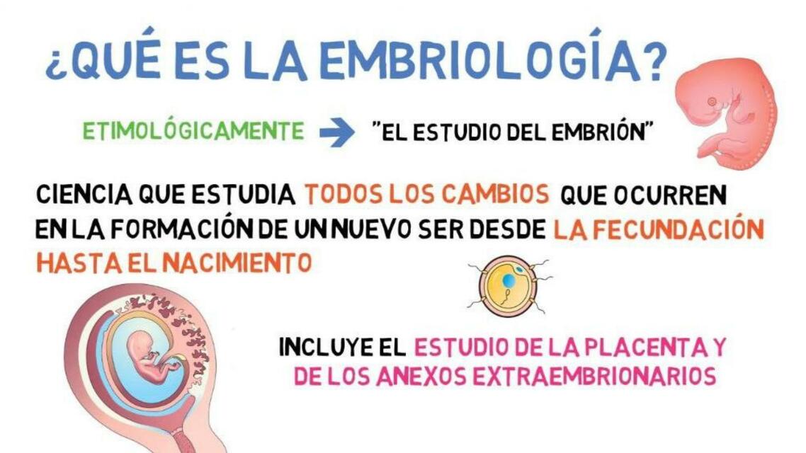 Periodo Pre Embrionario | Escuela medica | uDocz
