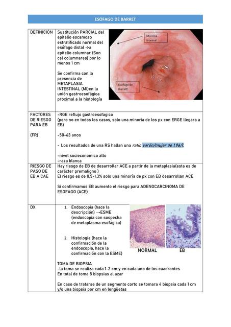 ESOFAGO DE BARRET | Nay ara | uDocz