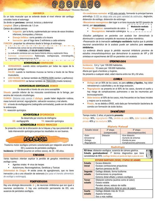 ESOFAGO_cirugia | Vannessa Huarachi | uDocz
