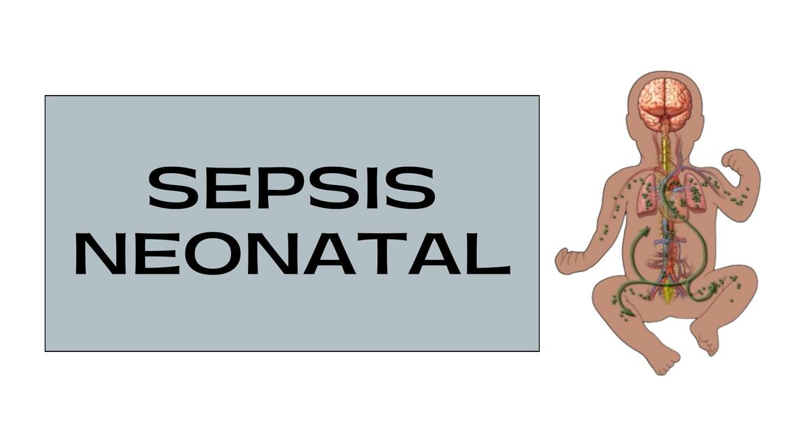 Sepsis Neonatal | uDocz