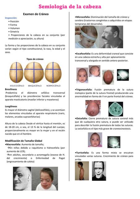 S10 Semiologia de la cabeza | Evelyn Carolina Dony | uDocz
