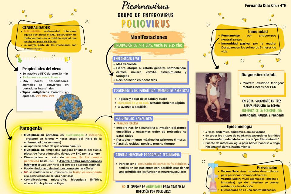 Enterovirus picornavirus | Fernanda Diaz | uDocz