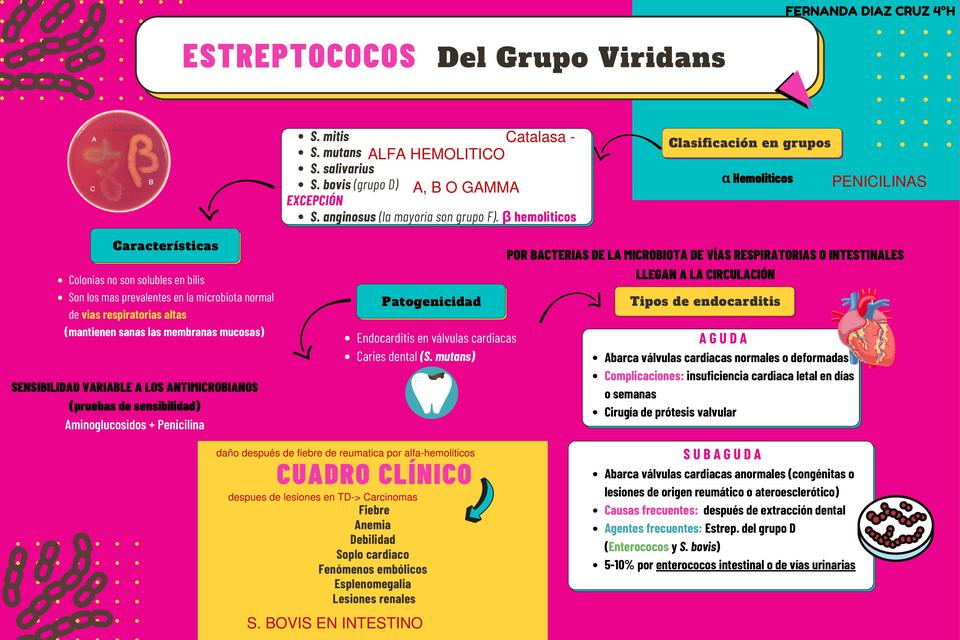 GRUPO VIRIDANS SNEUMONIAE ENTEROCOCOS | Fernanda Diaz | uDocz