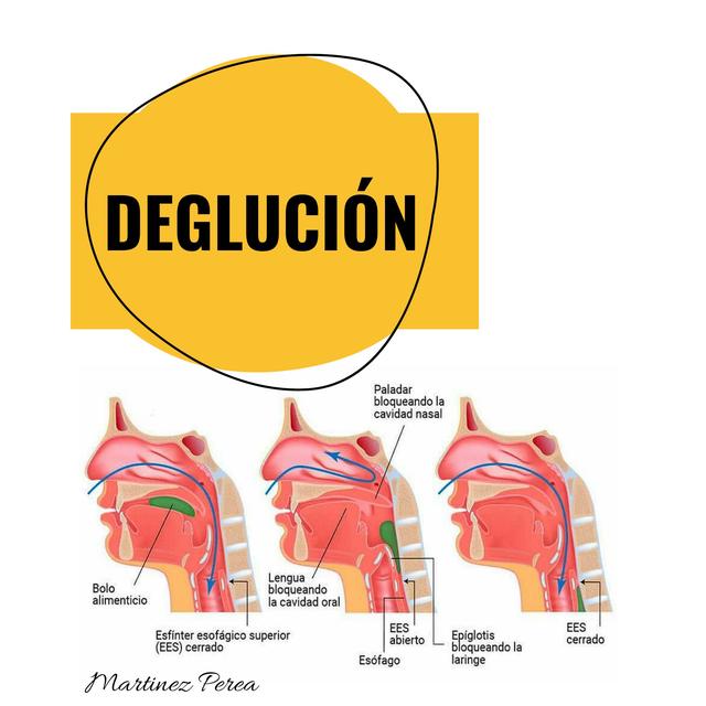 Deglución original | Mauro Martinez | uDocz