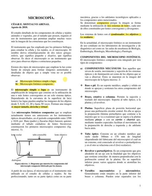 Microscopía | Micaela | uDocz