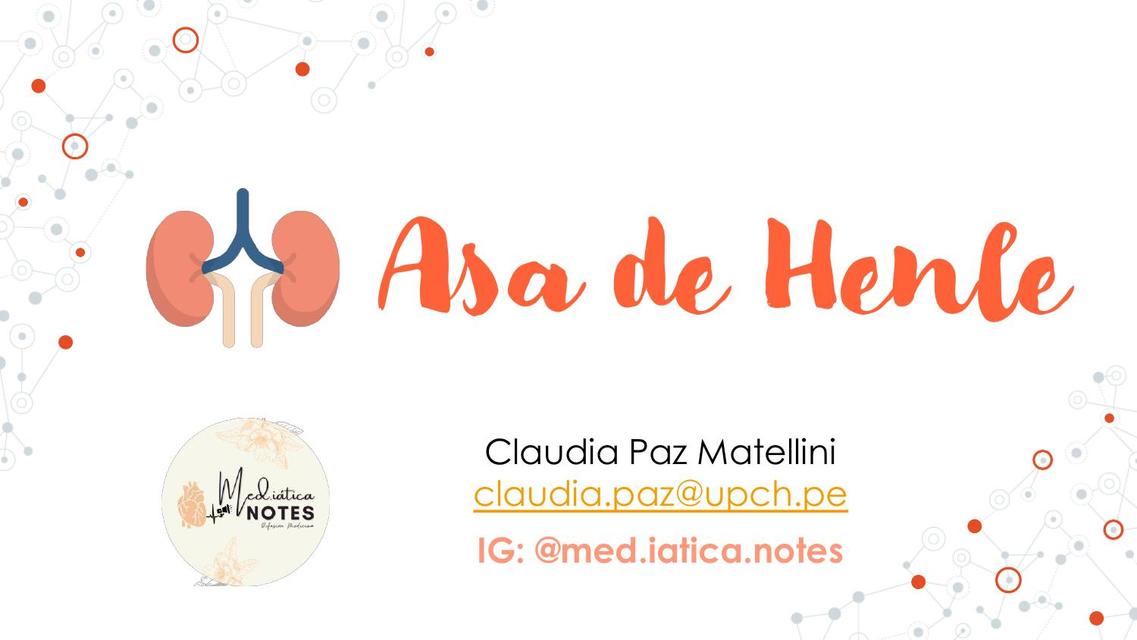 Resúmenes de Fisiopatología renal | Descarga apuntes de Fisiopatología ...