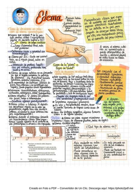 Resúmenes de Edema generalizado | Descarga apuntes de Edema generalizado