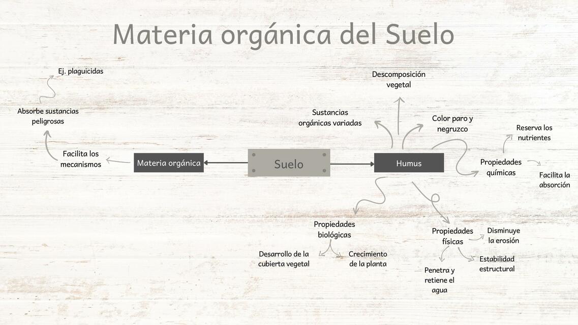 Materia Orgánica del Suelo | samsstudy | uDocz