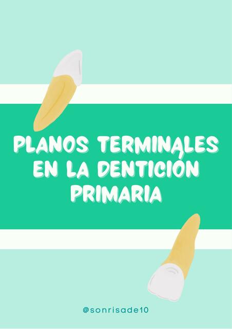 Planos terminales en la dentición primaria | Jessica Noriega | uDocz