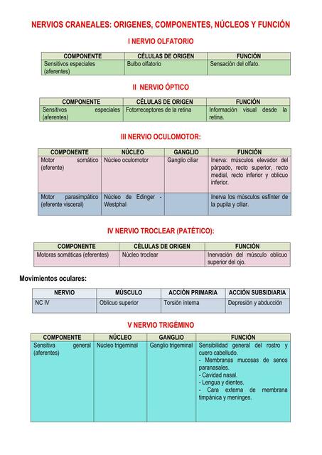 Nervios Craneales: Origen, Componente y Función | Nancy A3C | uDocz