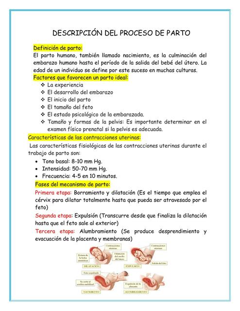 Descripción del Proceso de Parto | ANDREA CAROLINA REYES DELGADO | uDocz