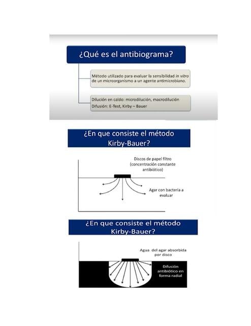 ¿Qué es el Antibiograma? | Edith Herrera | uDocz