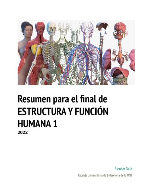 Apuntes de Estructura y Función Humana | uDocz