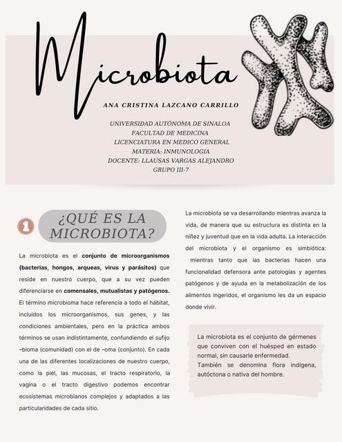 Microbiota | Lazcano Carrillo Ana Cristina | uDocz