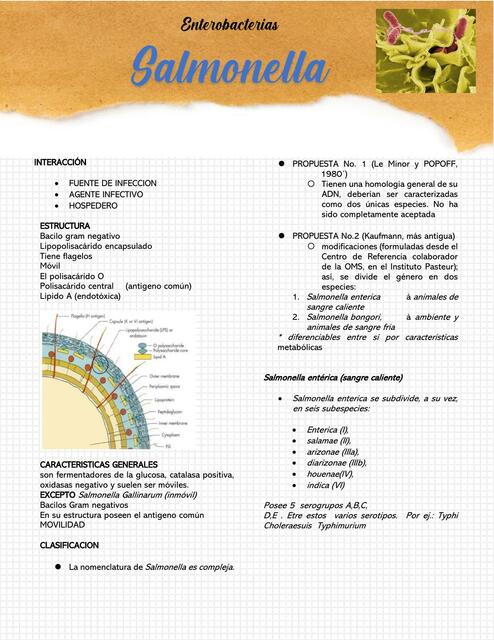 Salmonella Entérica | Jessica Alvarez | uDocz