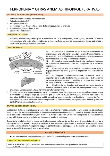FERROPENIA Y OTRAS ANEMIAS HIPOPROLIFERATIVAS Harrison | Medicina en la ...