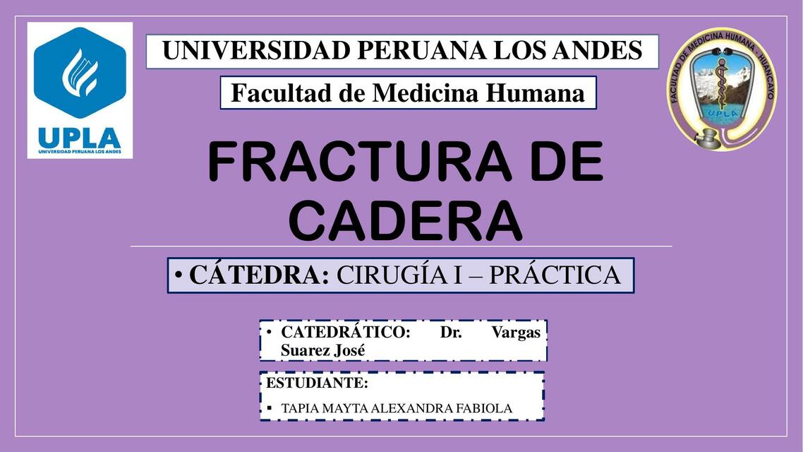 Fractura De Cadera Alexandra Tapia Mayta Udocz